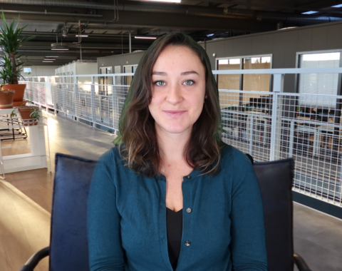 How to use FRF software DIRAC - VIBES.technology